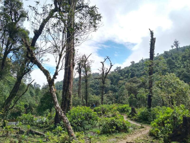 SAPA : Climb up to Fansipan mountain with LOCAL GUIDE - Practical Tips