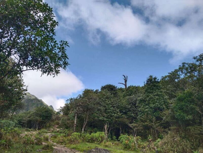 SAPA : Climb up to Fansipan mountain with LOCAL GUIDE - Final Thoughts