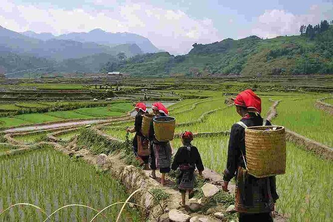 Sapa Easy Trekking For Seniors -4 Hours- The Stunning Rice Fields - The Itinerary: A Step-by-Step Breakdown