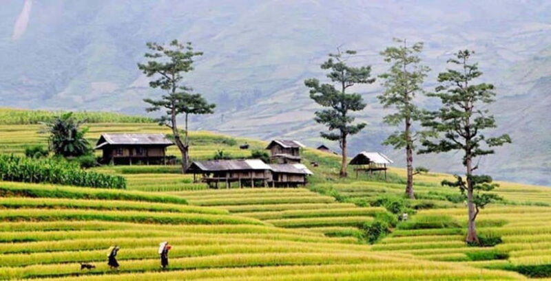 Sapa: Eco Adventure Terrace Fields and Local Villages Trek - Key Points
