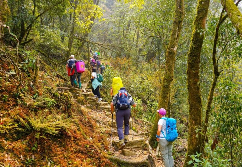 Sapa: Epic 2-Day Trek to Fansipan Mountain Peak - The Sum Up