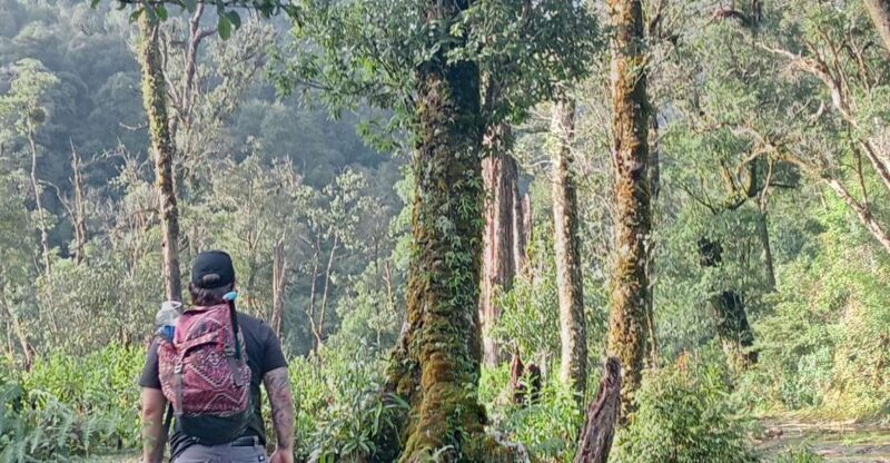 Sapa: Fansipan 1 day trip with local experts - Who Will Enjoy This Tour?