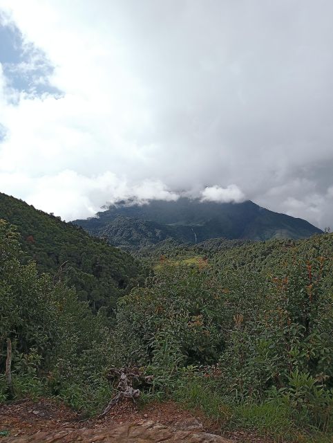 Sapa: Fansipan 2D1N with local experts - The Sum Up