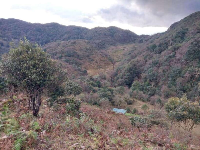 Sapa: Fansipan Mountain 2-Day Trekking Tour - The Value of the Tour