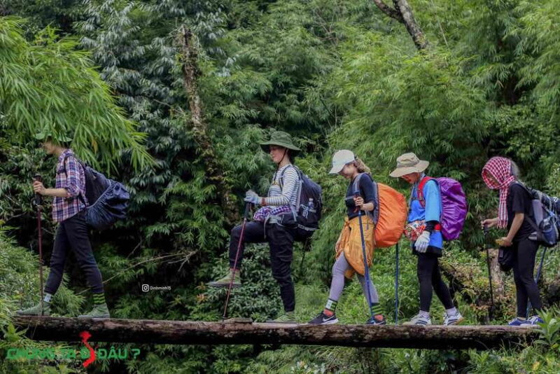 Sapa: Fansipan Peak Full-Day Trek with Lunch - Key Points