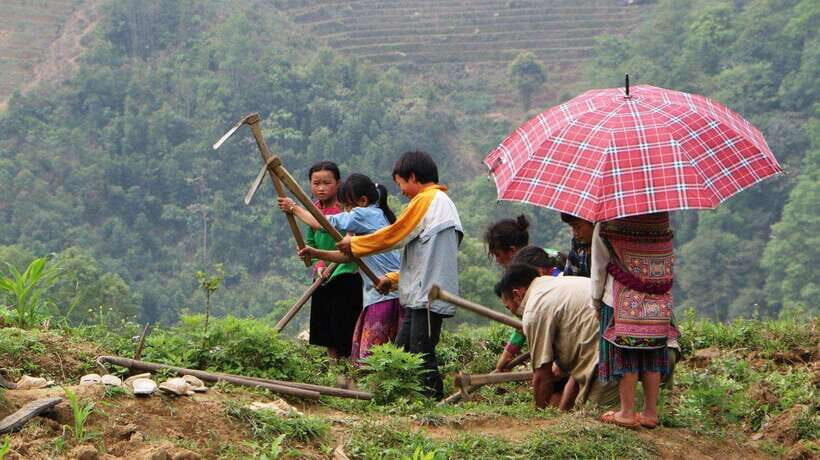 SAPA FREE 1 DAY TREEKKING WITH CHAN - Key Points