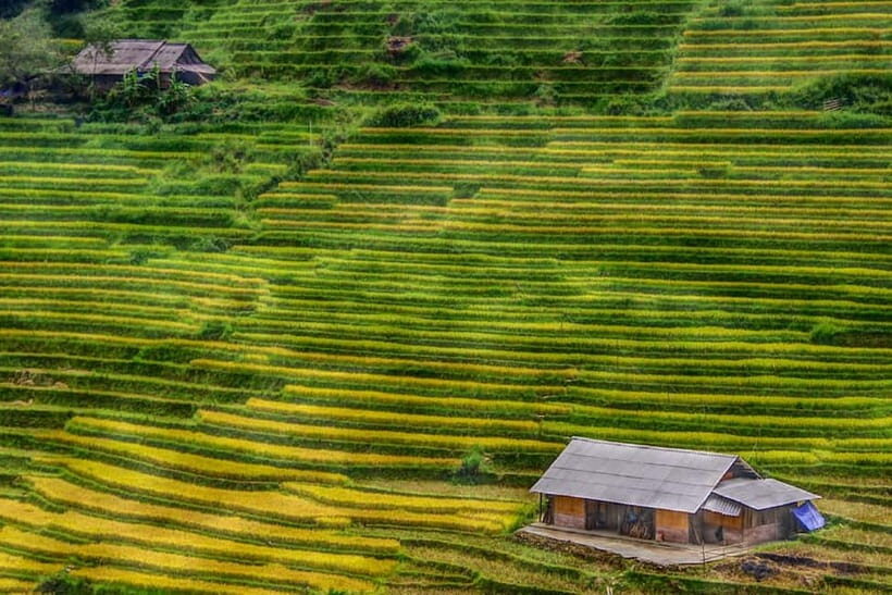 SAPA FREE 1 DAY TREEKKING WITH CHAN - A Deep Dive Into the Experience