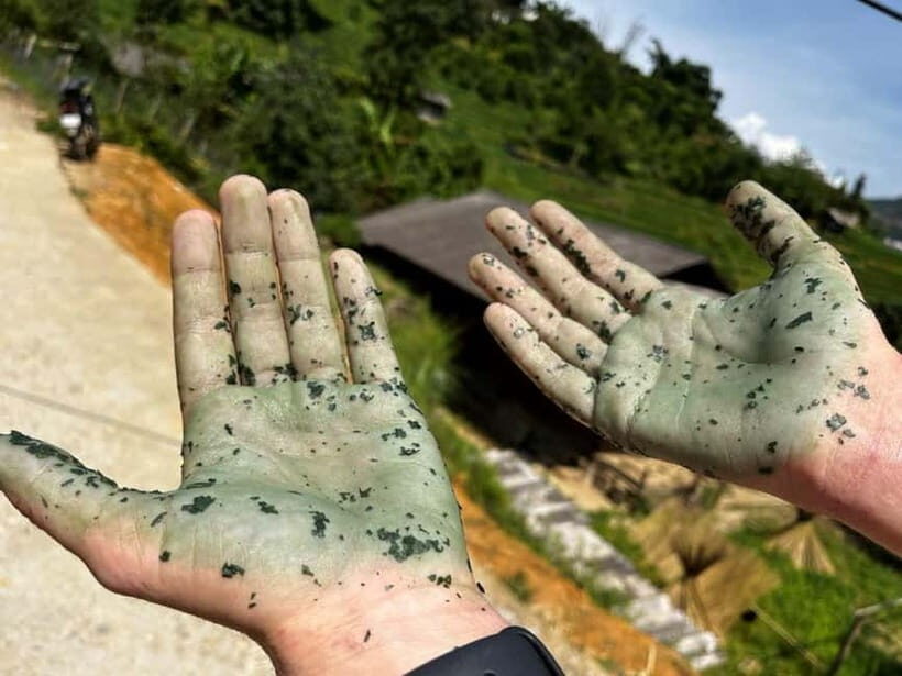 SAPA FREE 1 DAY TREEKKING WITH CHAN - Practicalities: What to Know Before You Go