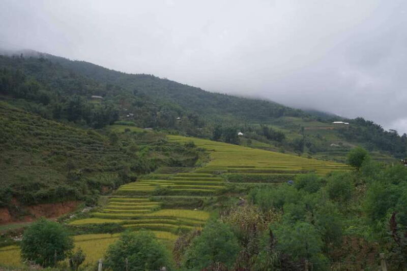 Sapa: Full-Day Hike to Ta Phin & Cat Cat Village with Lunch - FAQ