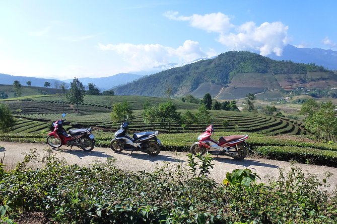 Sapa Full Day Motorbike Tour - Tân Uyên District & Local Market