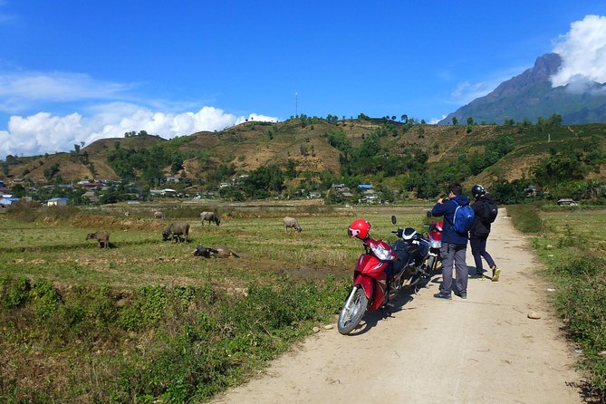 Sapa Full Day Motorbike Tour - Practical Details and Value