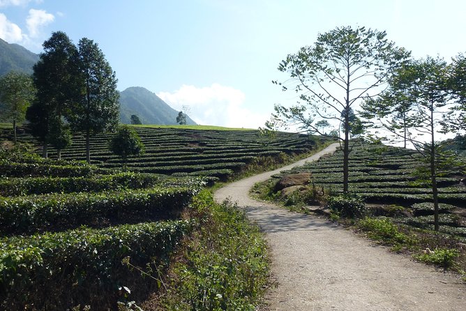 Sapa Full Day Motorbike Tour - What We Love & What to Consider
