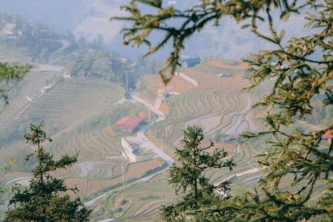 Sapa Full Day Trekking Through Rice Fields Terrace - The Practicalities: What’s Included and What to Know