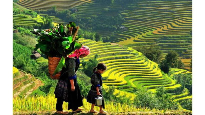 Sapa: Guided Day Trek to Lao Chai & Ta Van - The Sum Up