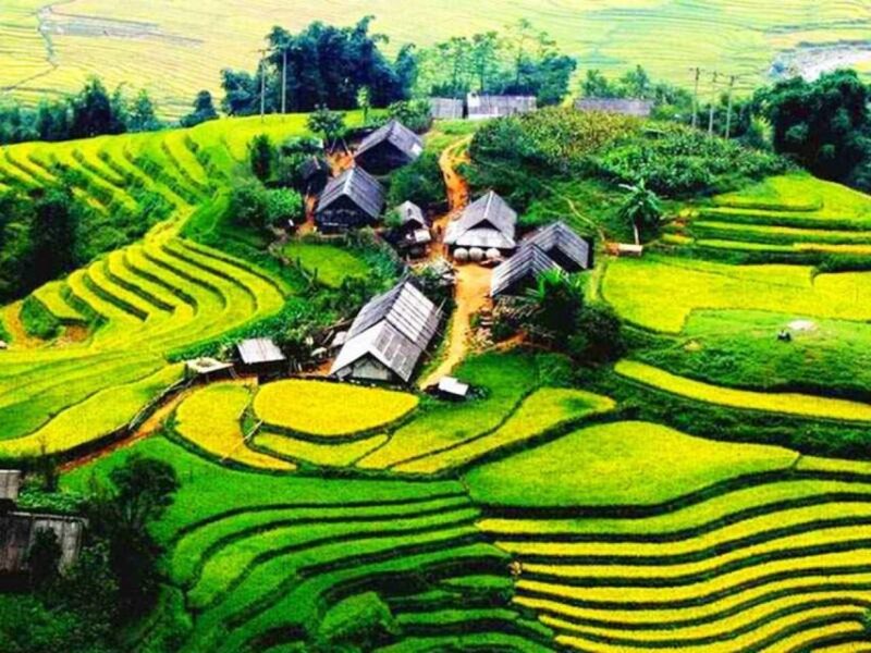 Sapa: Guided Full-Day Trekking Muong Hoa Valley with Lunch - Who Is This Tour Best For?