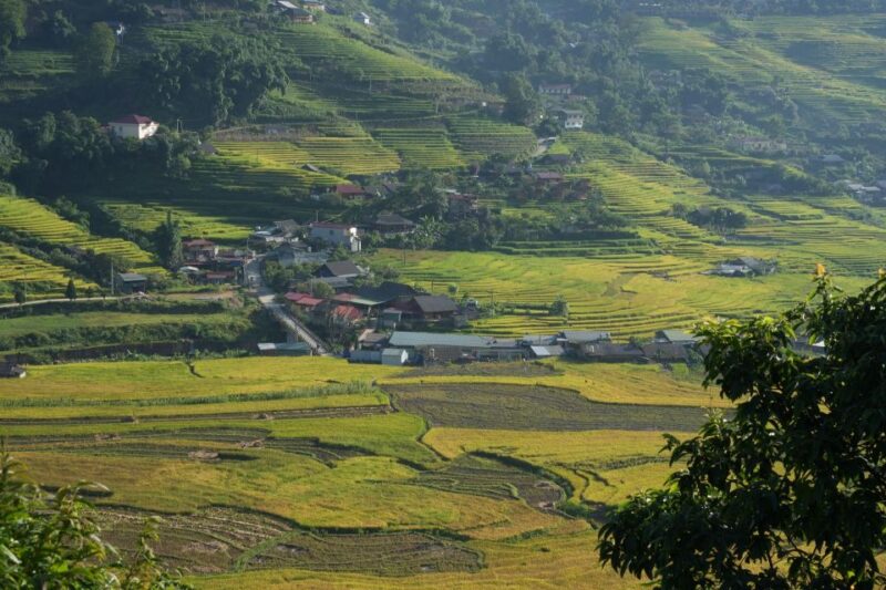 Sapa Half Day hard trekking villages trip with lunch & guide - The Details That Matter