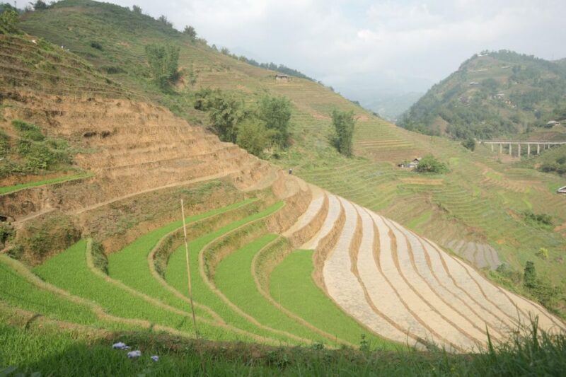 Sapa Half Day hard trekking villages trip with lunch & guide - The Culinary Experience