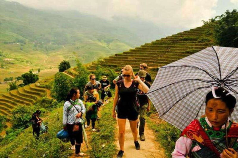 Sapa: Half Day Treck To Visit Y Linh Ho , Lao Chai, Ta Van - Key Points