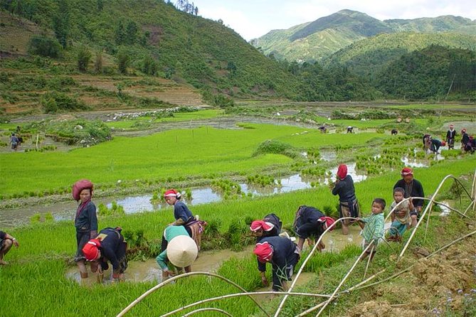 Sapa Hard Trekking villages 2D/1N: Homestay, Meals, English speaking guide - FAQs