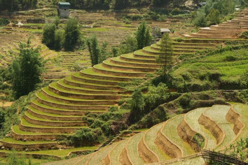 Sapa hard trekking villages and homestay 2 days 1 night trip - Who is This Tour Best For?
