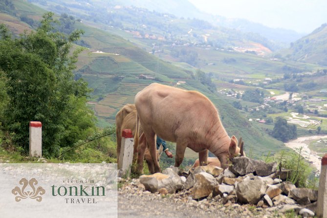 Sapa hard trekking villages homestay 3days/ 2nights tour - amazing culture - Final Thoughts