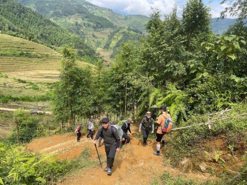 Sapa: Ky Quan San Hiking 3D3N (Bach Moc Luong Tu) - Practical Tips for the Trekker