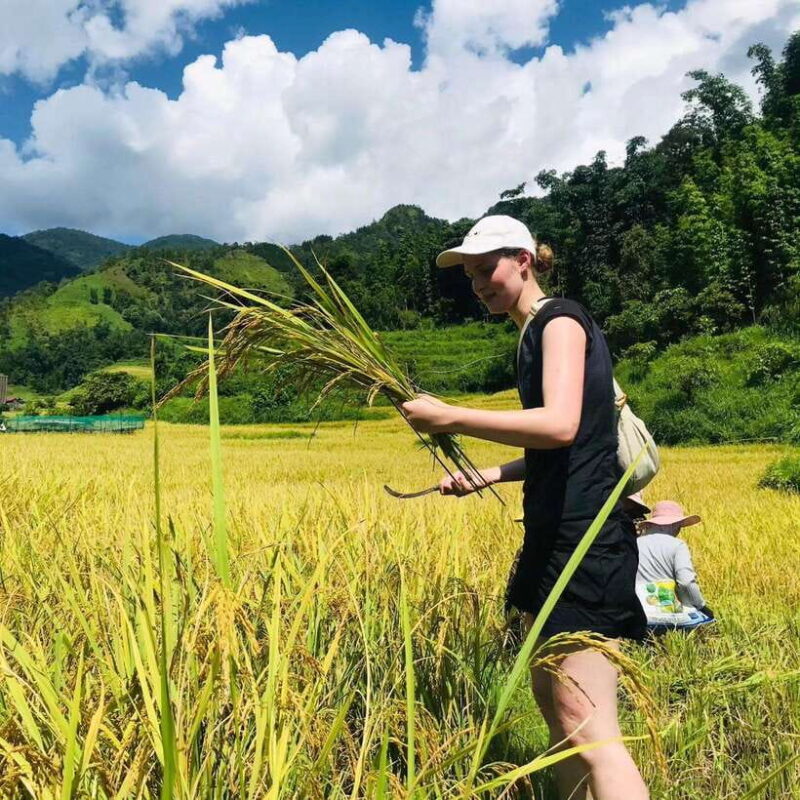 Sapa Motorbike 1 Day Trip - Afternoon Exploration: Lakes and Waterfalls