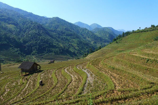 Sapa Motorbike Tour - 1 Day - From Heaven Gate To Muong Hoa Valley - What Makes This Tour Stand Out?