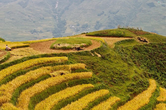 Sapa Motorbike Tour 1 Day| See All Of Rice Fields & Valleys in One Day - FAQ