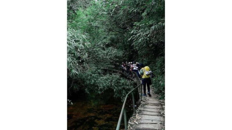 **SAPA**: Mount Fansipan Trek with a Local Guide - Who Should Consider This Tour?