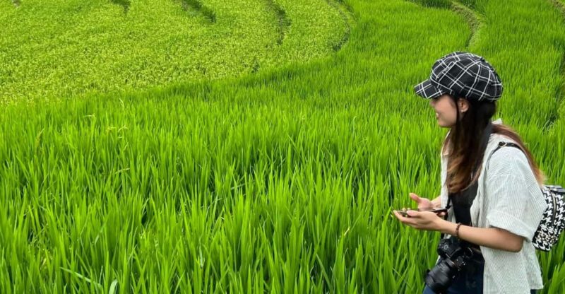 Sapa Nature Trek: 1-Day Hike from Hanoi by Night Bus - FAQ