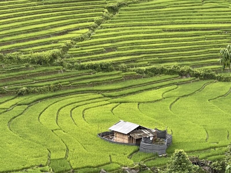 Sapa One Day Motorbike Tour - Practical Tips for Travelers