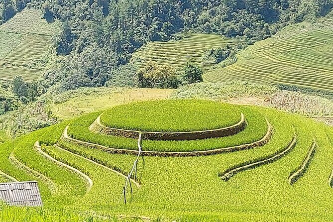 Sapa Package Tours / Limousine Transfer - What Does the Tour Really Offer?