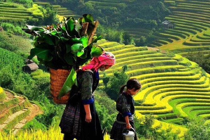 Sapa Package Tours / Limousine Transfer - Summary