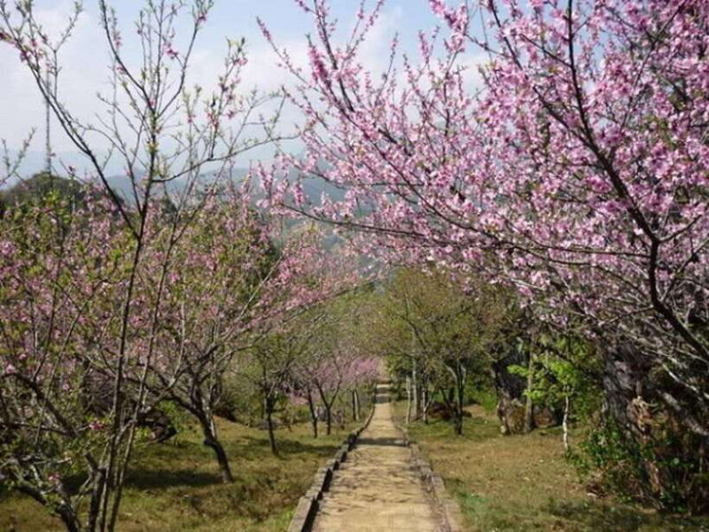 Sapa Private 3-Day: Cat Cat Villages, Rice fields & Fansipan - An Impressive Introduction to Sapa’s Natural and Cultural Treasures
