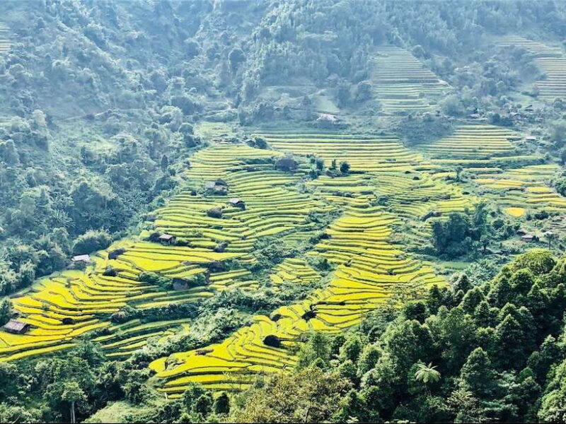 Sapa: Private Highlights Day Tour with Lunch - Key Points