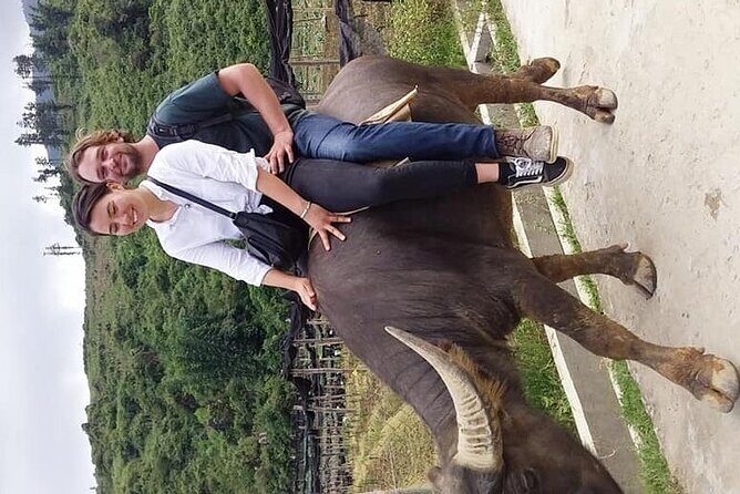 Sapa private: One day of funny Buffalo Ride & Trekking Tour - The Itinerary in Detail