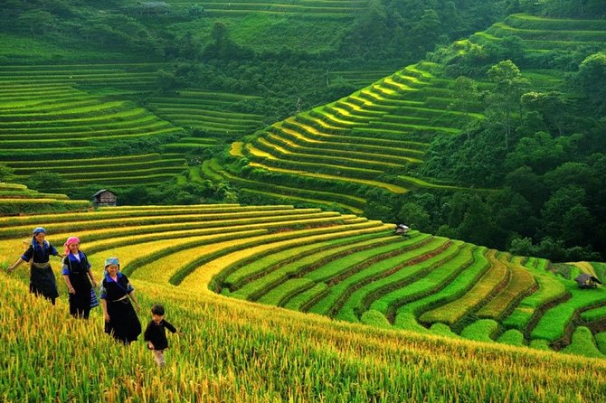 Sapa private tour 2 days 1 night - Practical Aspects and Considerations
