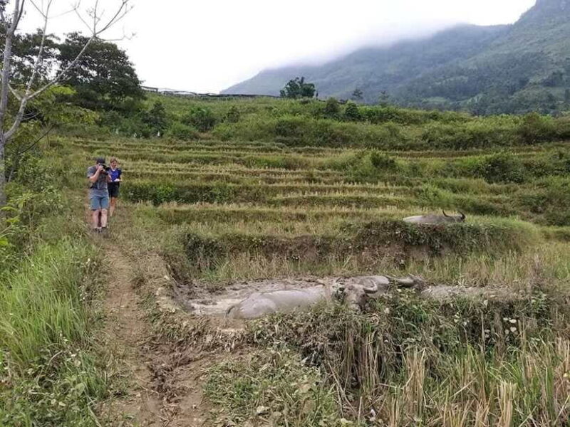 Sapa: Private trek to Muong Hoa Valley - What’s included and what’s not