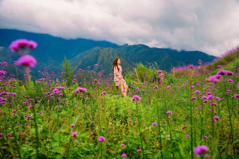 Sapa: Sunworld Fansipan Legend Ticket - Key Points