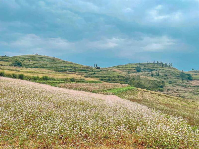 Sapa: Ta Phin Village Trek with Lunch and Bathing Experience - Walking Through Rice Terraces and Small Villages