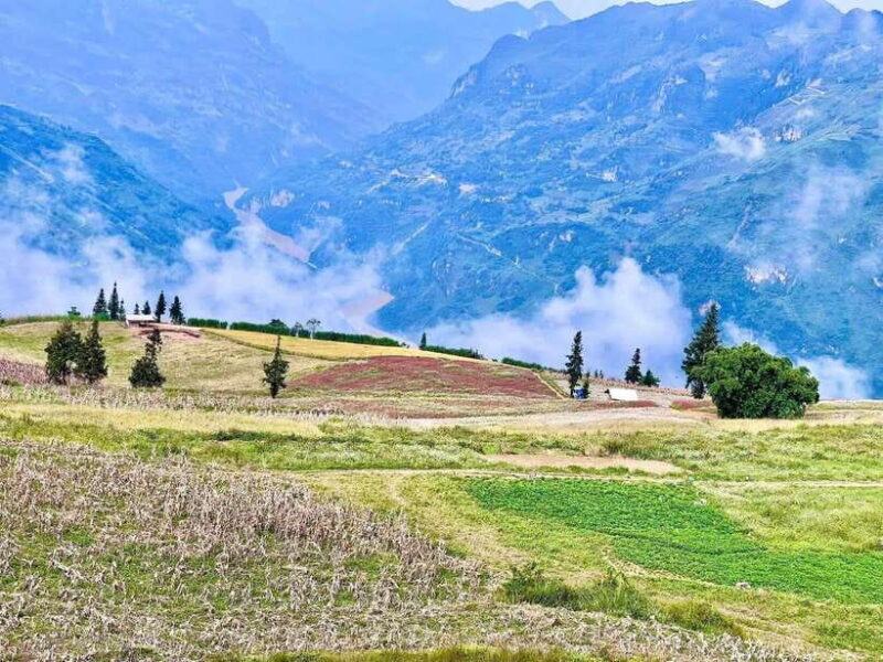 Sapa: Ta Phin Village Trek with Lunch and Bathing Experience - A Genuine Cultural Experience at Ma Tra and Ta Phin