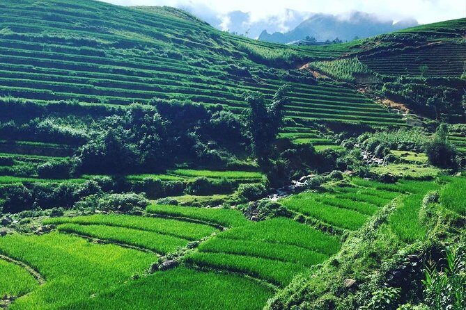 Sapa Tour 2Days/1Night with Fansipan Peak - The Roof of Indochina - Final Thoughts