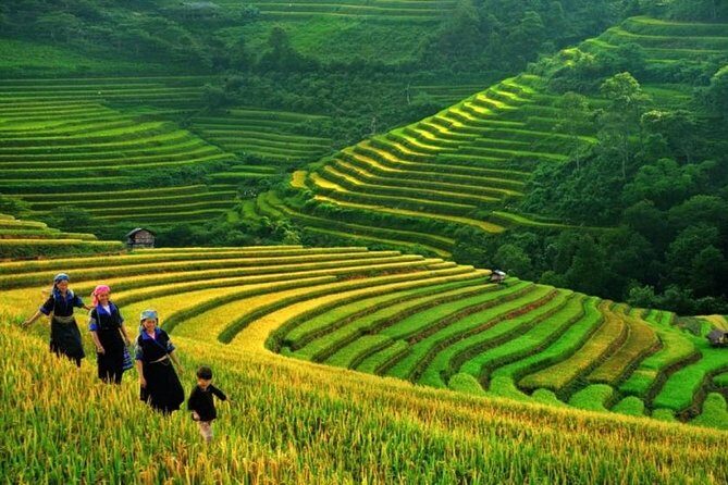 Sapa Trek 3 days 3 nights small group tour - Homestay and Hotel from Hanoi - Day 1: From Lao Cai to Y Linh Ho and Lao Chai