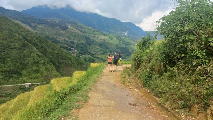 Sapa: Trekking 1 day by Snail Indigo. - Who Should Consider This Tour?