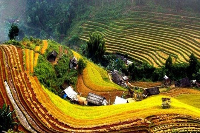 Sapa Trekking 2 Days - 1 Night, Homestay or Hotel by Sleeping Bus - FAQ