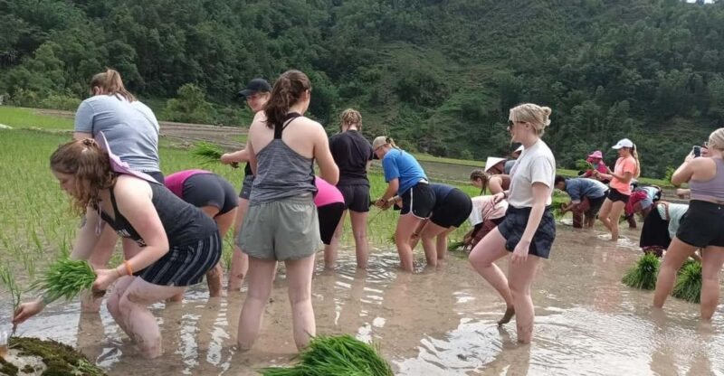 Sapa: Trekking 2 days 1 night in homestay - Key Points