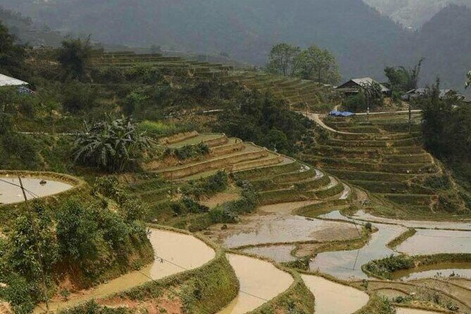 Sapa Trekking 2 Days 1 Night Transfer By Sleeper Bus - The Sum Up