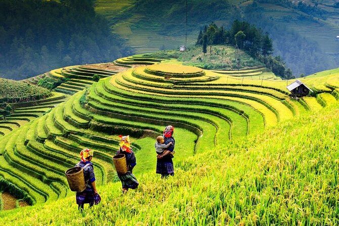 Sapa trekking 2days by bus from Hanoi ( over night in homestay) - An In-Depth Look at the 2-Day Sapa Trek from Hanoi