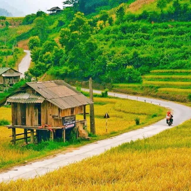 Sapa Trekking 3 Days 2 Night - VIP Sleeper Bus from Hanoi - Accommodations and Meals: Comfort and Authenticity